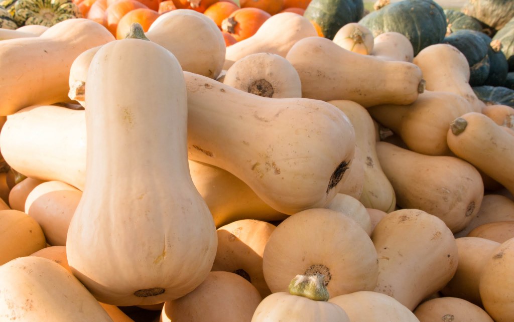 Bremer Produce – U-Pick Flower Farm