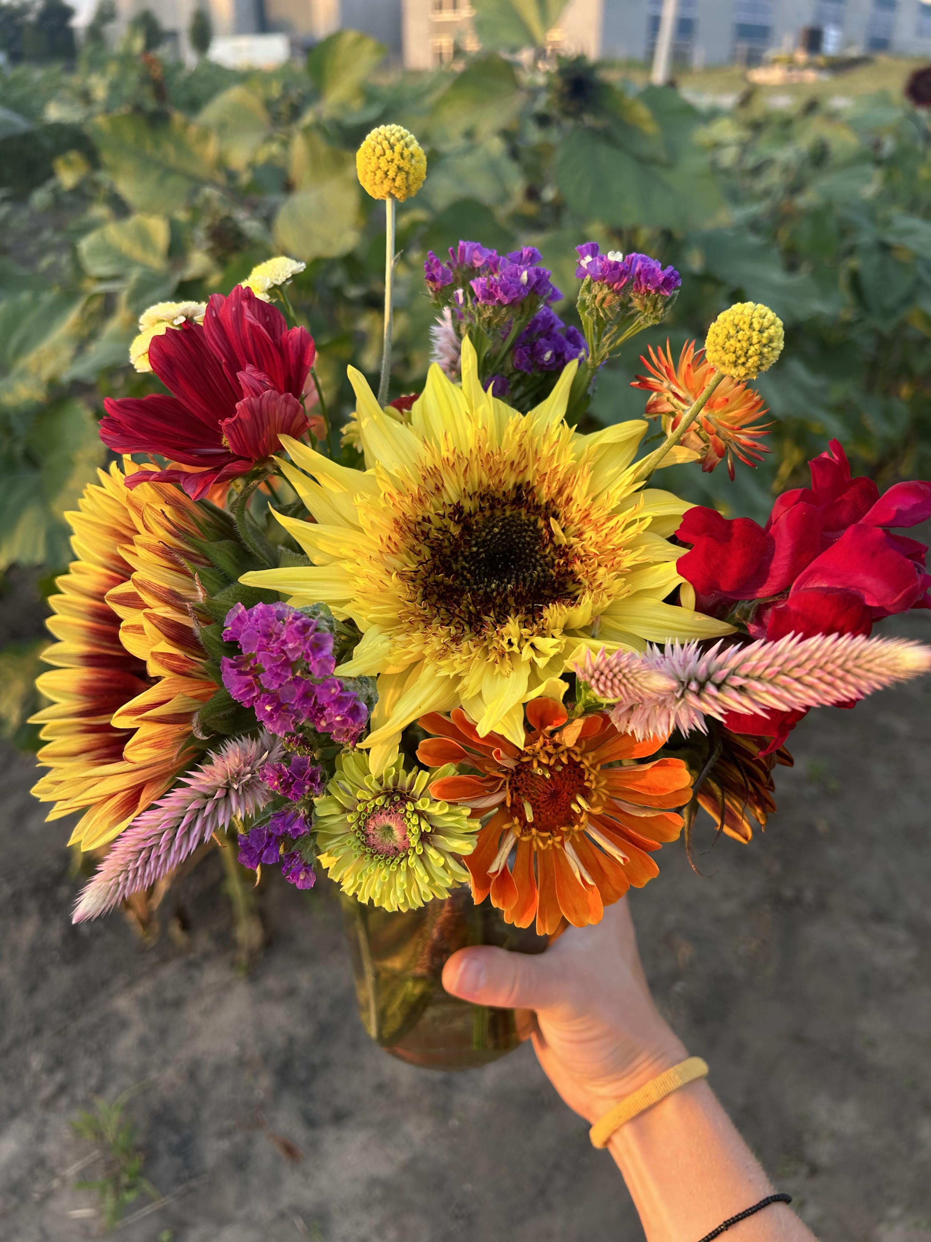 U-Pick Flowers – Bremer Produce